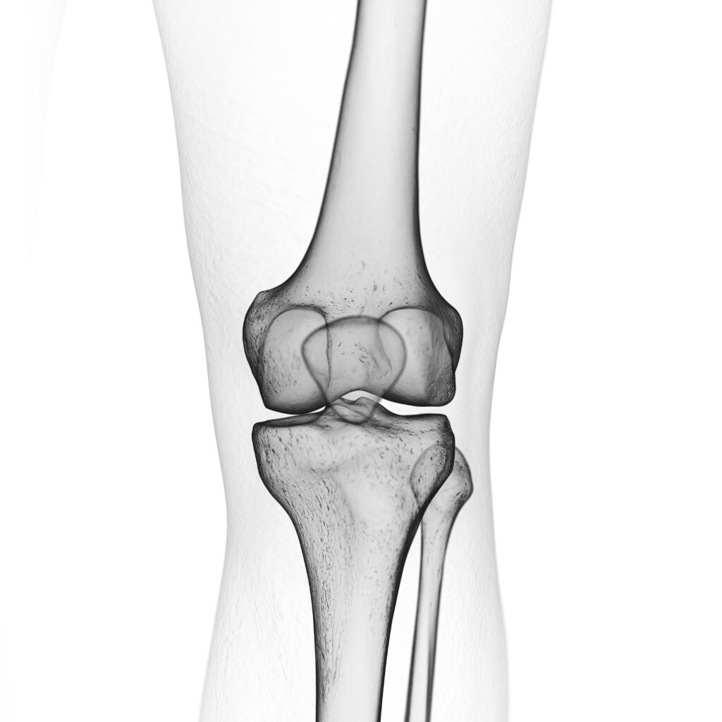 Anatomy Tuesday L5 Nerve Root Movewell Academy