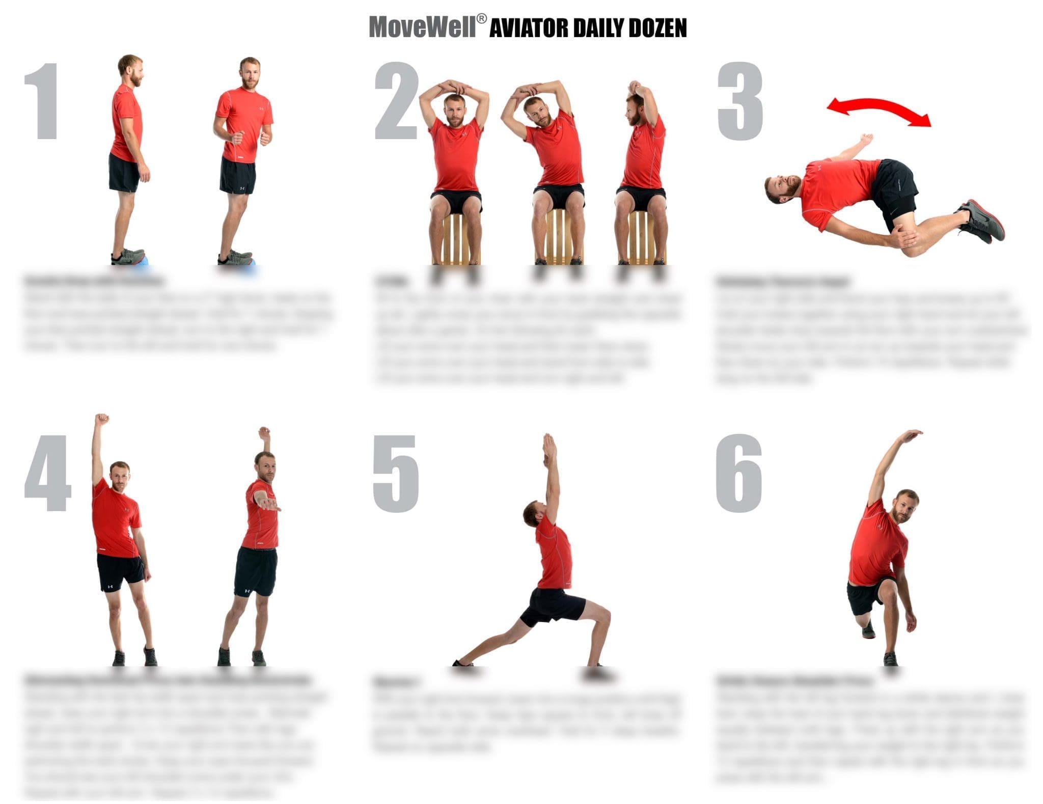 Daily Dozen Aviator – Movewell Academy