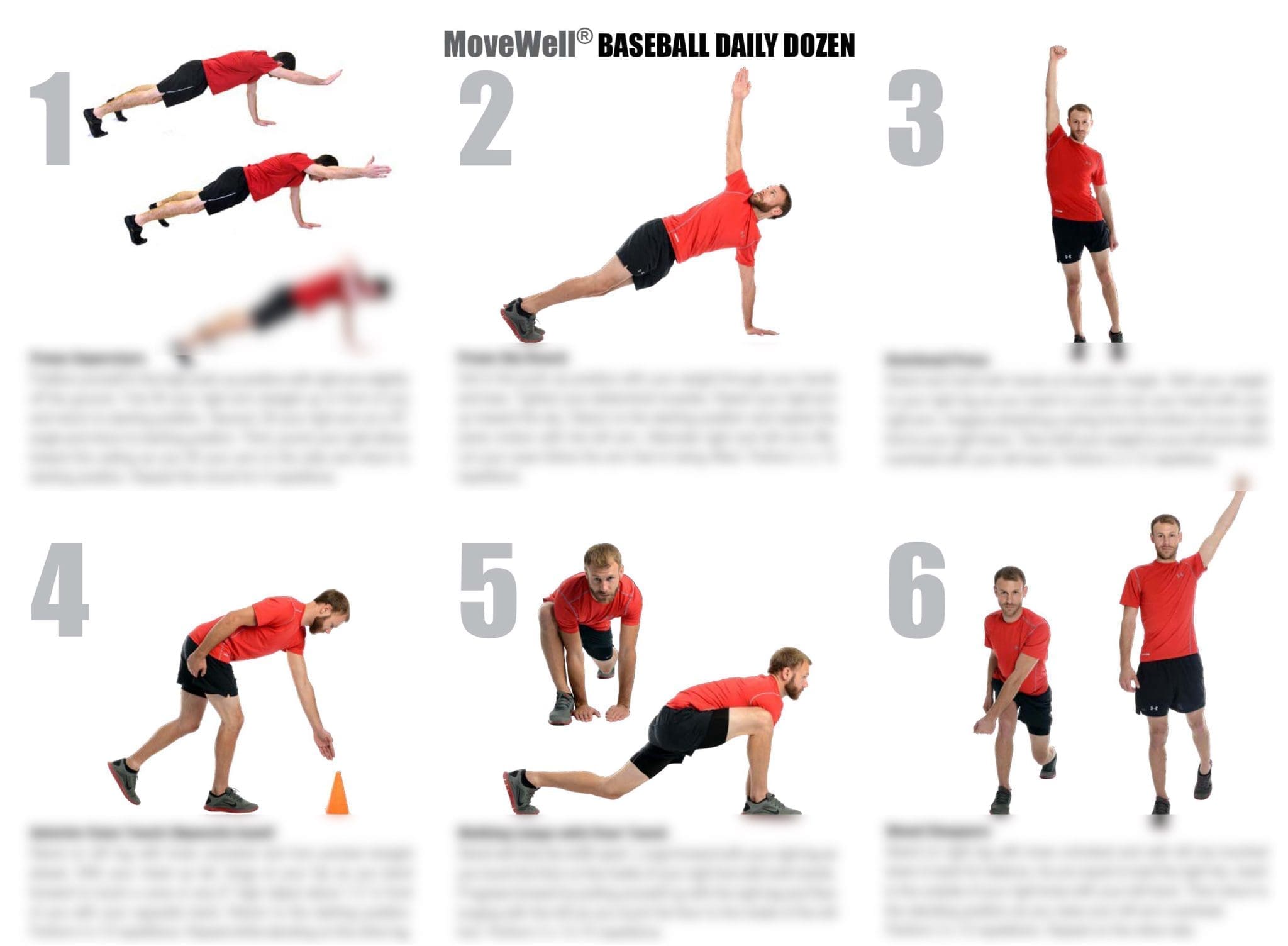 Daily Dozen – Movewell Academy