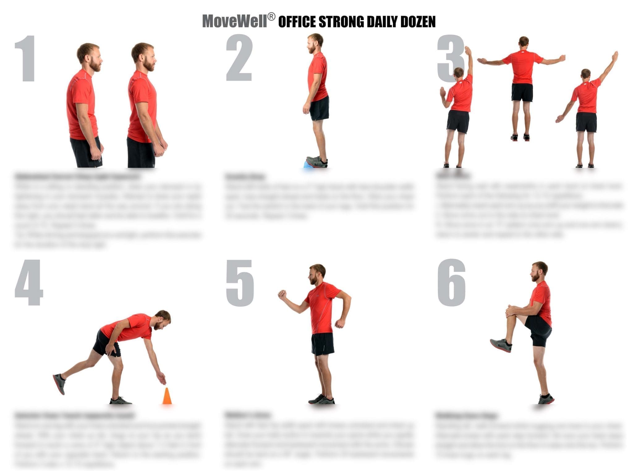 Daily Dozen Office Strong – Movewell Academy