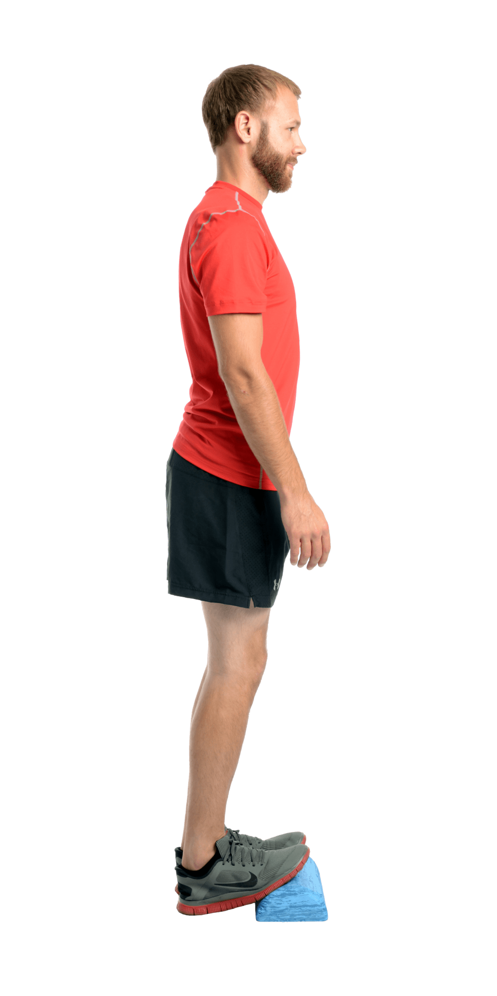 Kinesiology THURSDAY – The Superficial Back Line (A Head-to-Toe ...