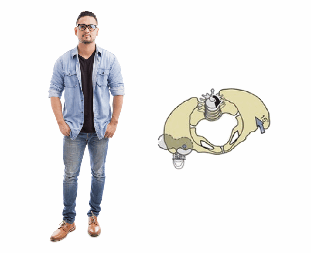 Muscle Minute TUESDAY – Windswept (Part 5 – Innominate Position ...